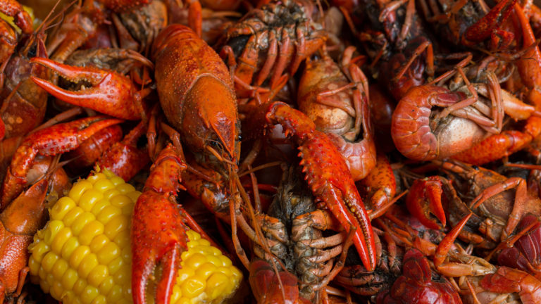The Shack - Houma, LA | Boiled Seafood & Cajun Cooking
